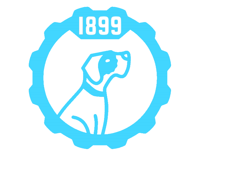 What We Do - Saints Robotics